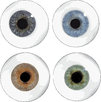 Acrylic, Glass Eyes and Body Casting Parts | EnvironMolds