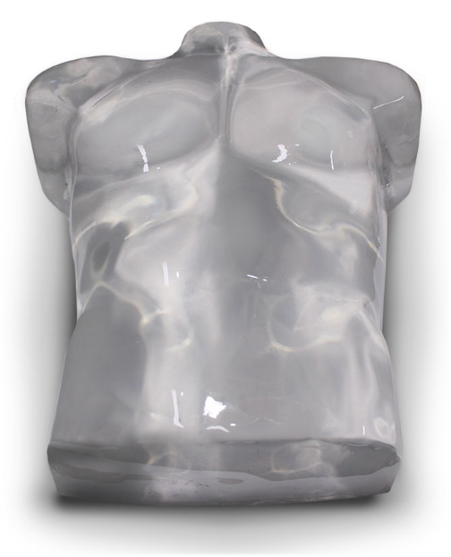 Clear Ballistic Gel Torso – EnvironMolds