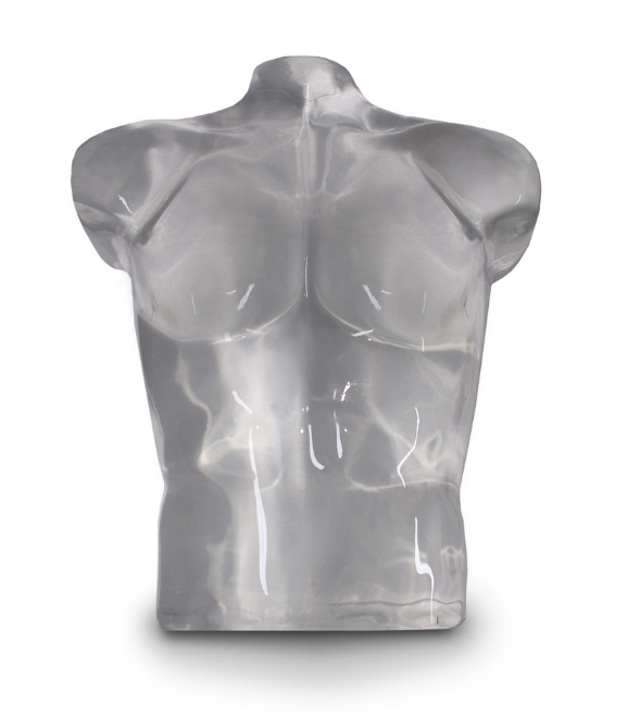 Clear Ballistic Gel Torso – EnvironMolds