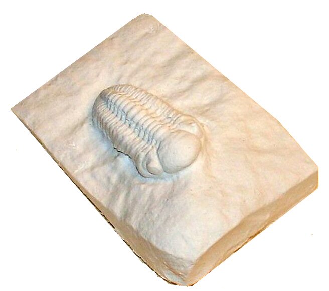 Latex EZ Casting Kit – EnvironMolds